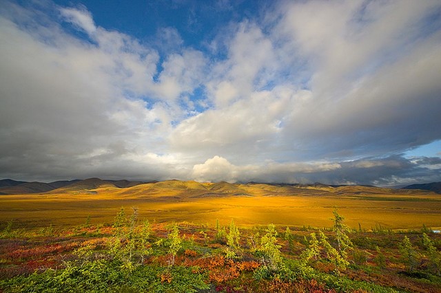 Free download All Products Bedroom Bedroom Decor Wall Decor Wallpaper ...