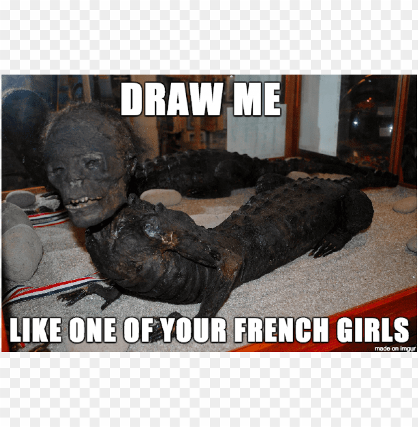 🔥 Free Download Haha Meme Png Image With Transparent Background Toppng ...