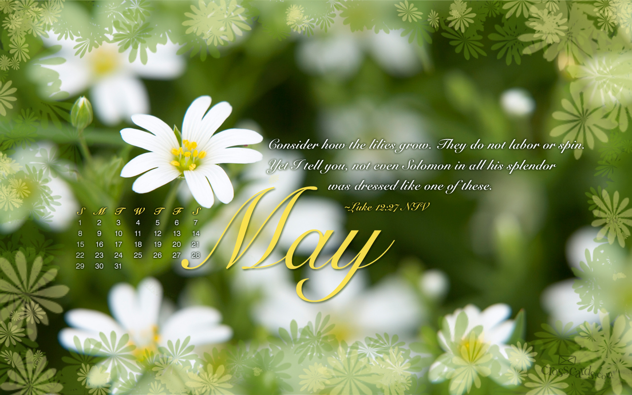  Free Download Impress Moment MaY DeSKToP CaLeNDaR WaLLPaPeRS 