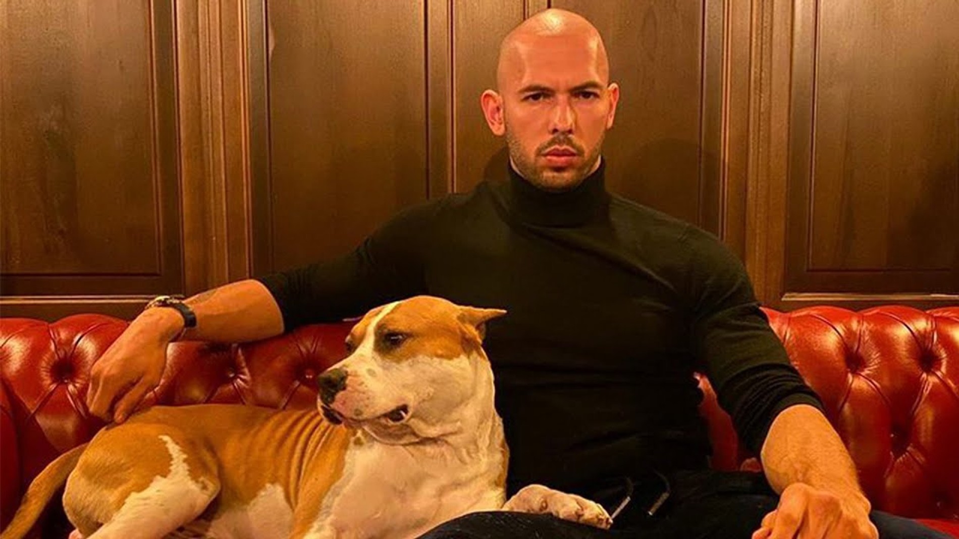 🔥 [60+] Andrew Tate 4k Wallpapers | WallpaperSafari