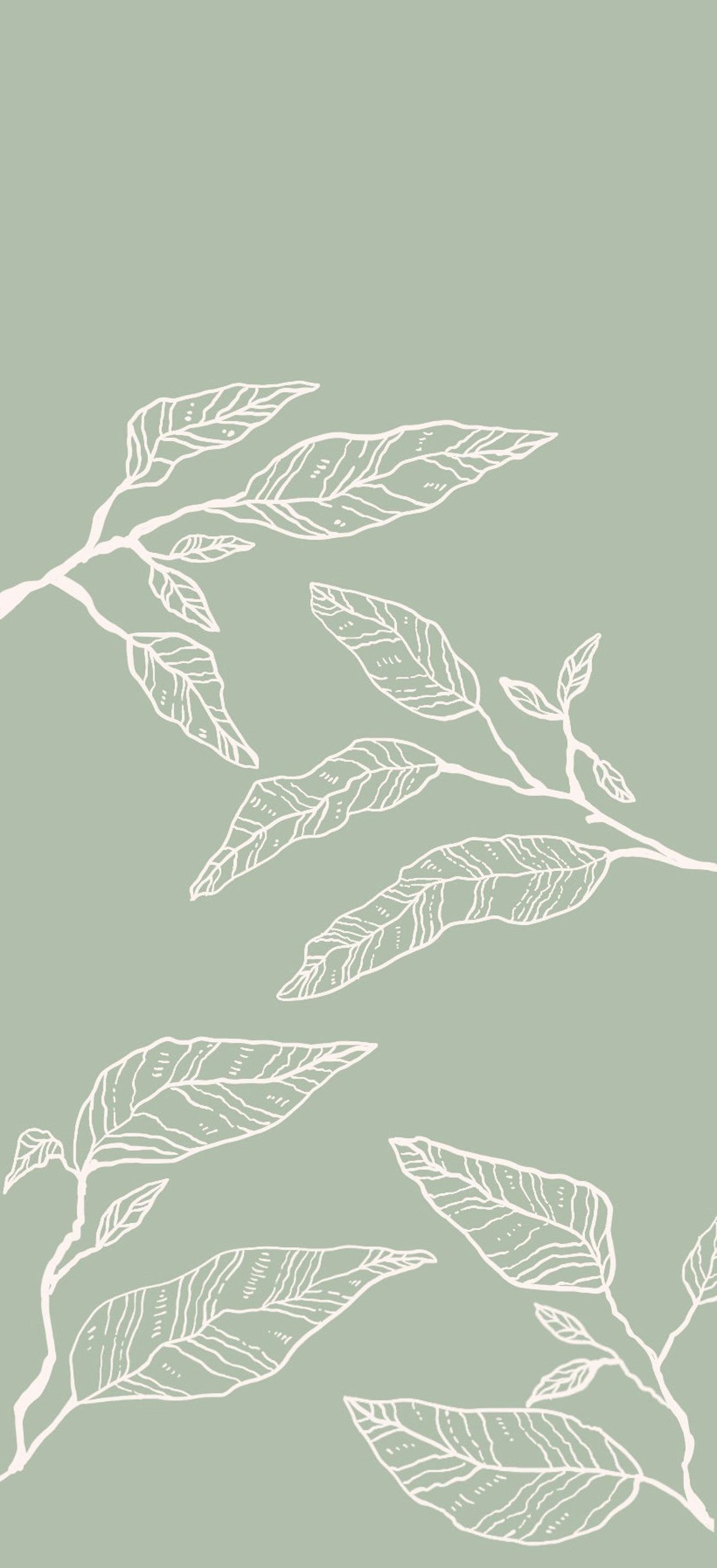 🔥 Free Download Sage Green Wallpaper by @kcook15 | WallpaperSafari