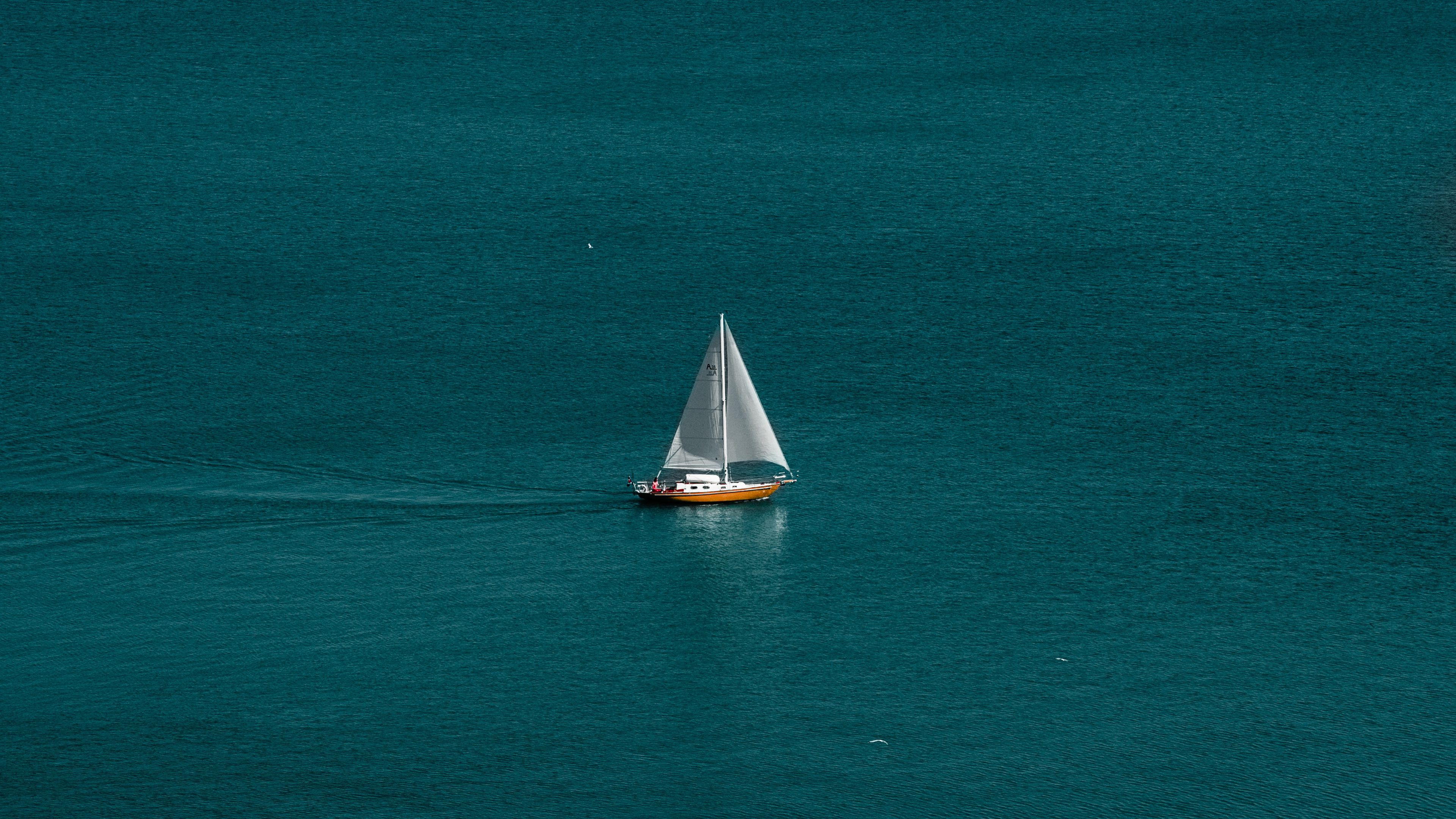 🔥 Free Download Wallpaper Sea Boat Sailboat Water Horizon 4k Uhd by ...