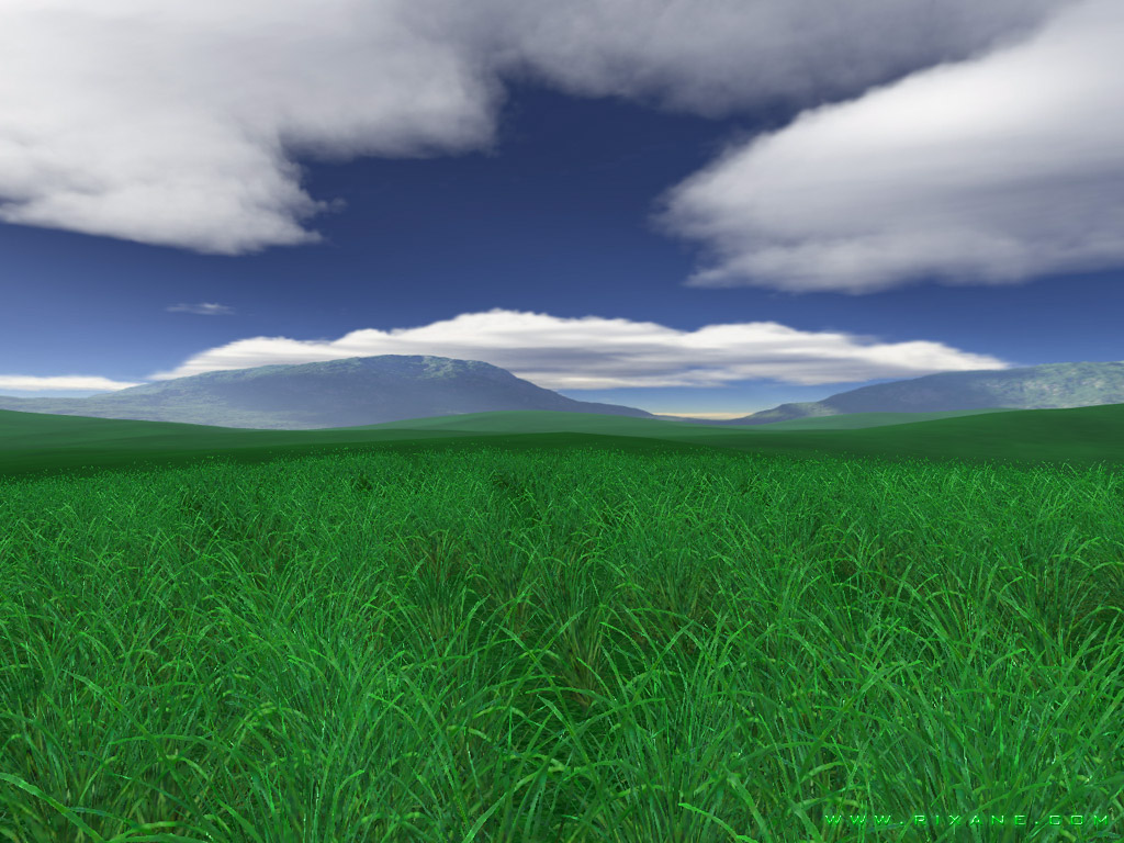 🔥 [50+] Green Nature Wallpapers Desktop | WallpaperSafari