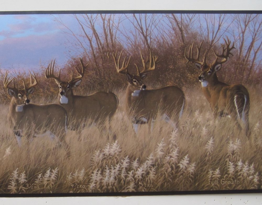 Elk Hunting Wallpaper Border