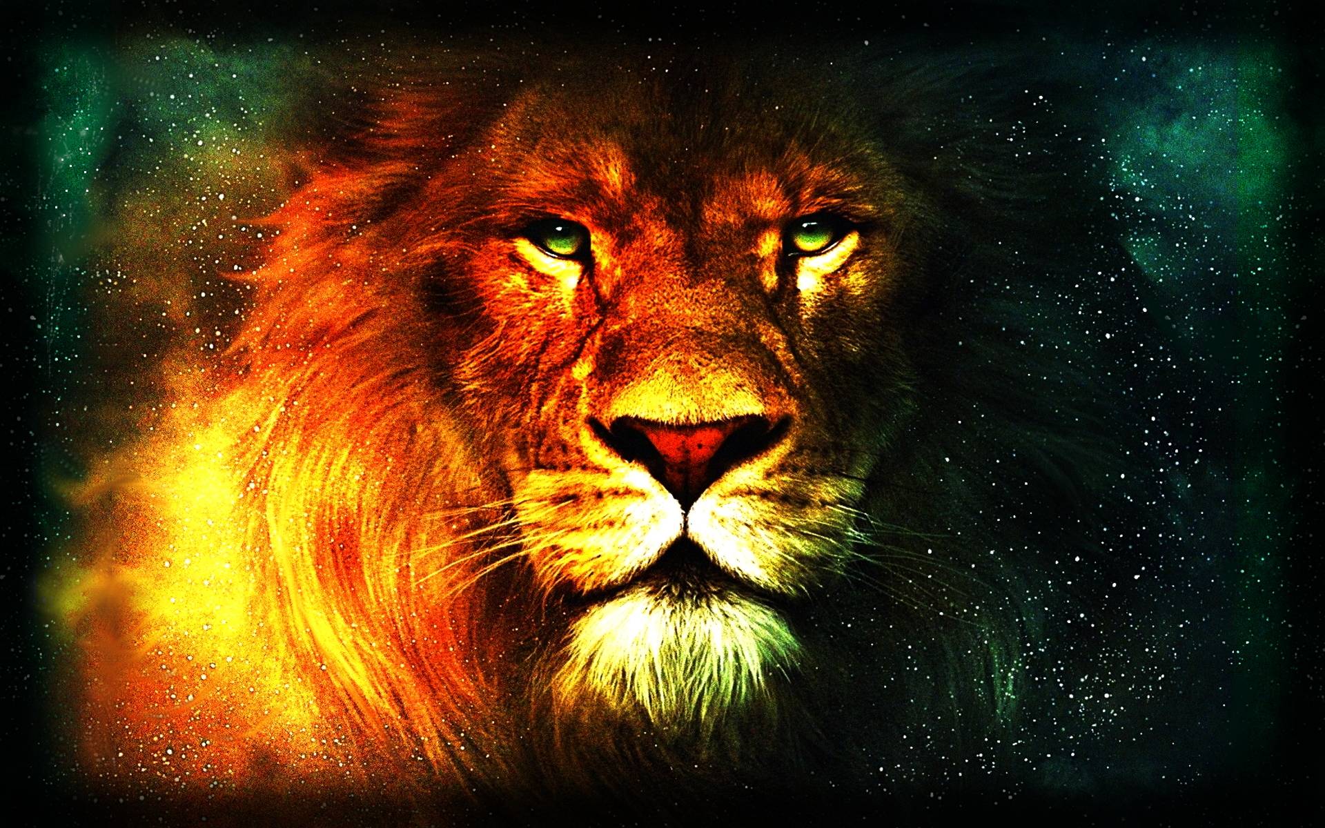  70 Aslan Wallpaper WallpaperSafari