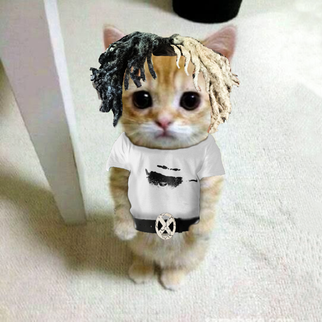 🔥 Free Download Ken Kitty Carson Wallpaper by @shays6 | WallpaperSafari