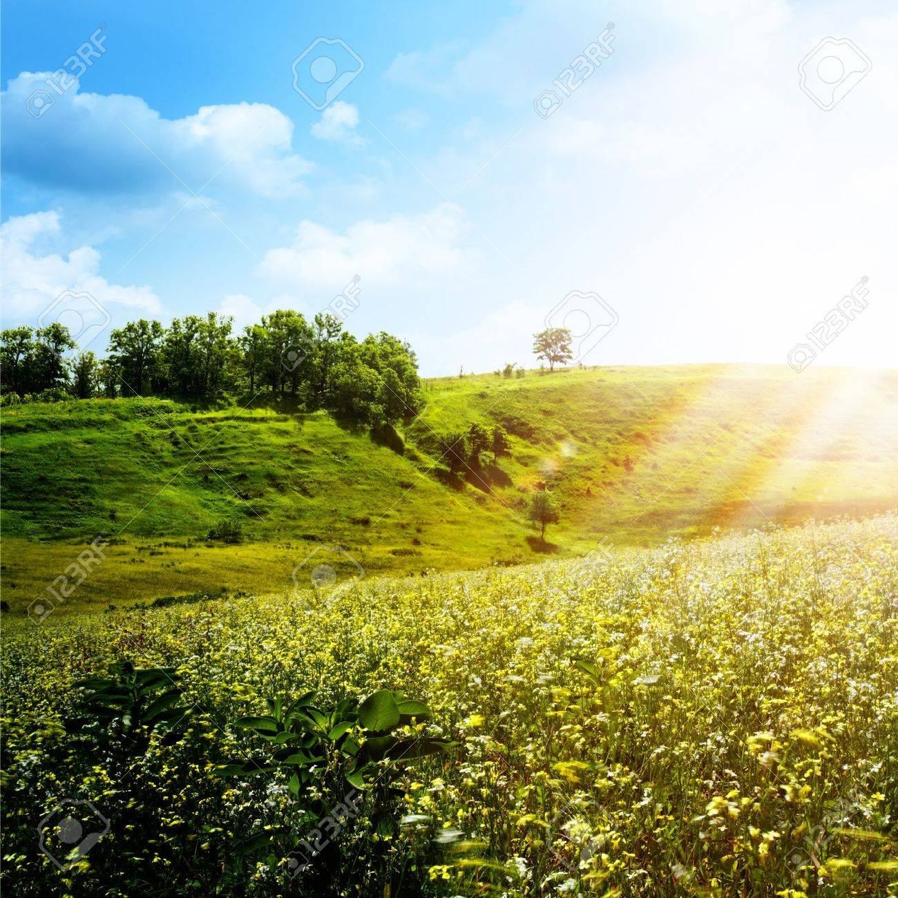 [44+] Afternoon Background - WallpaperSafari