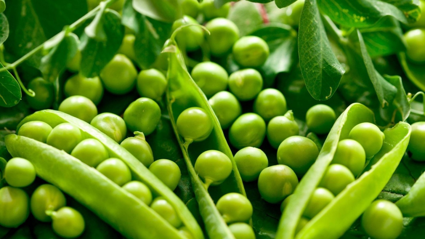 🔥 Free Download Green Peas Wallpaper Photo Background Image by ...