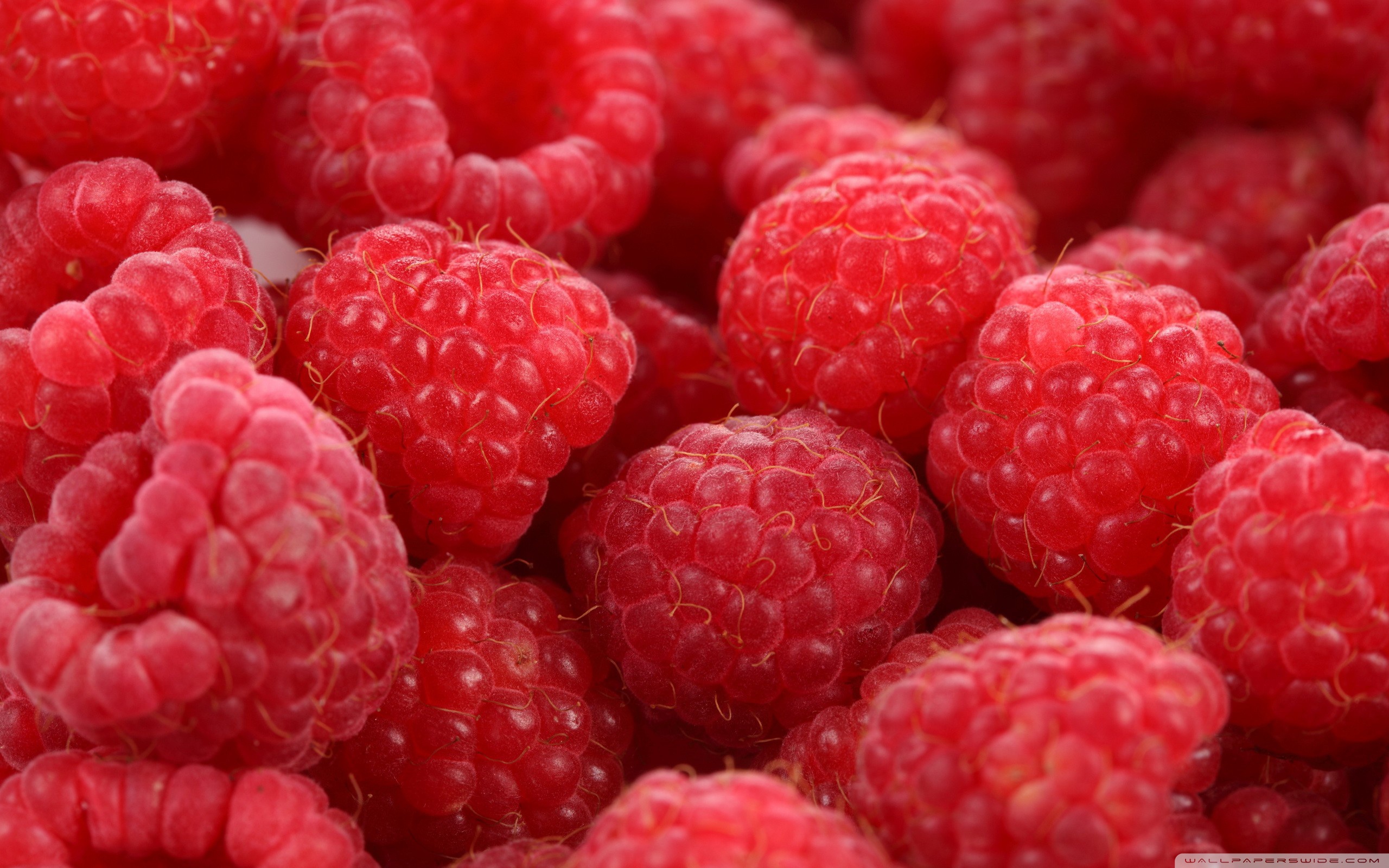 🔥 Free Download Raspberries Wallpaper Wallpaperexpert Journal by ...