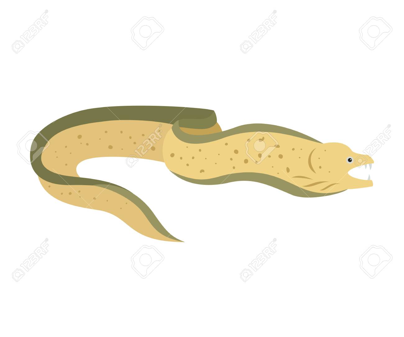 [36+] Eel Backgrounds | WallpaperSafari