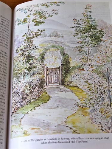 🔥 [40+] Vintage Beatrix Potter Wallpapers | WallpaperSafari