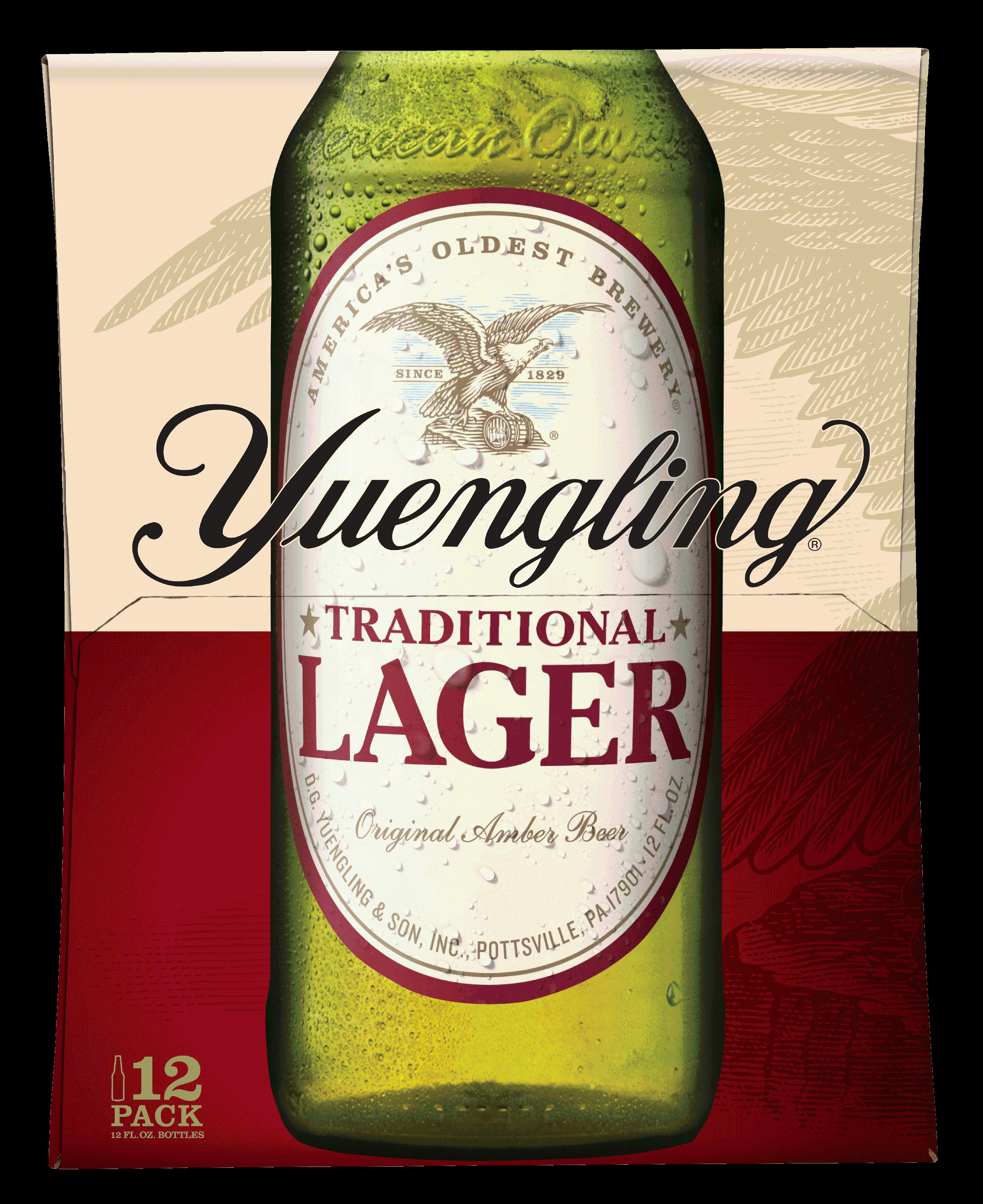 Yuengling Lager 12 Pack
