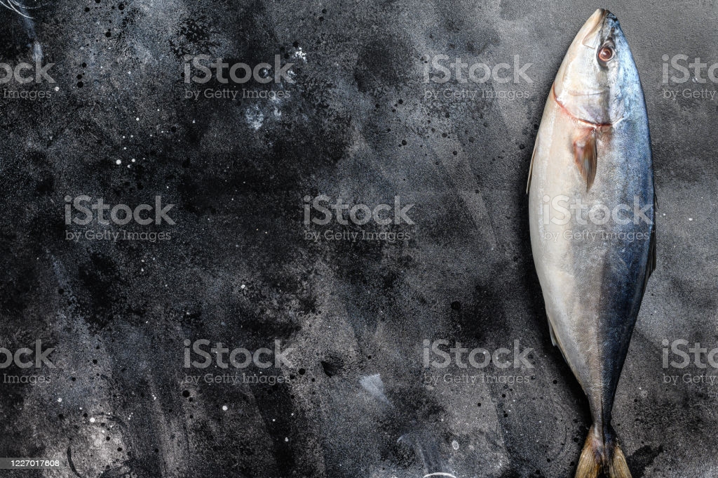 🔥 [32+] Amberjack Background | WallpaperSafari