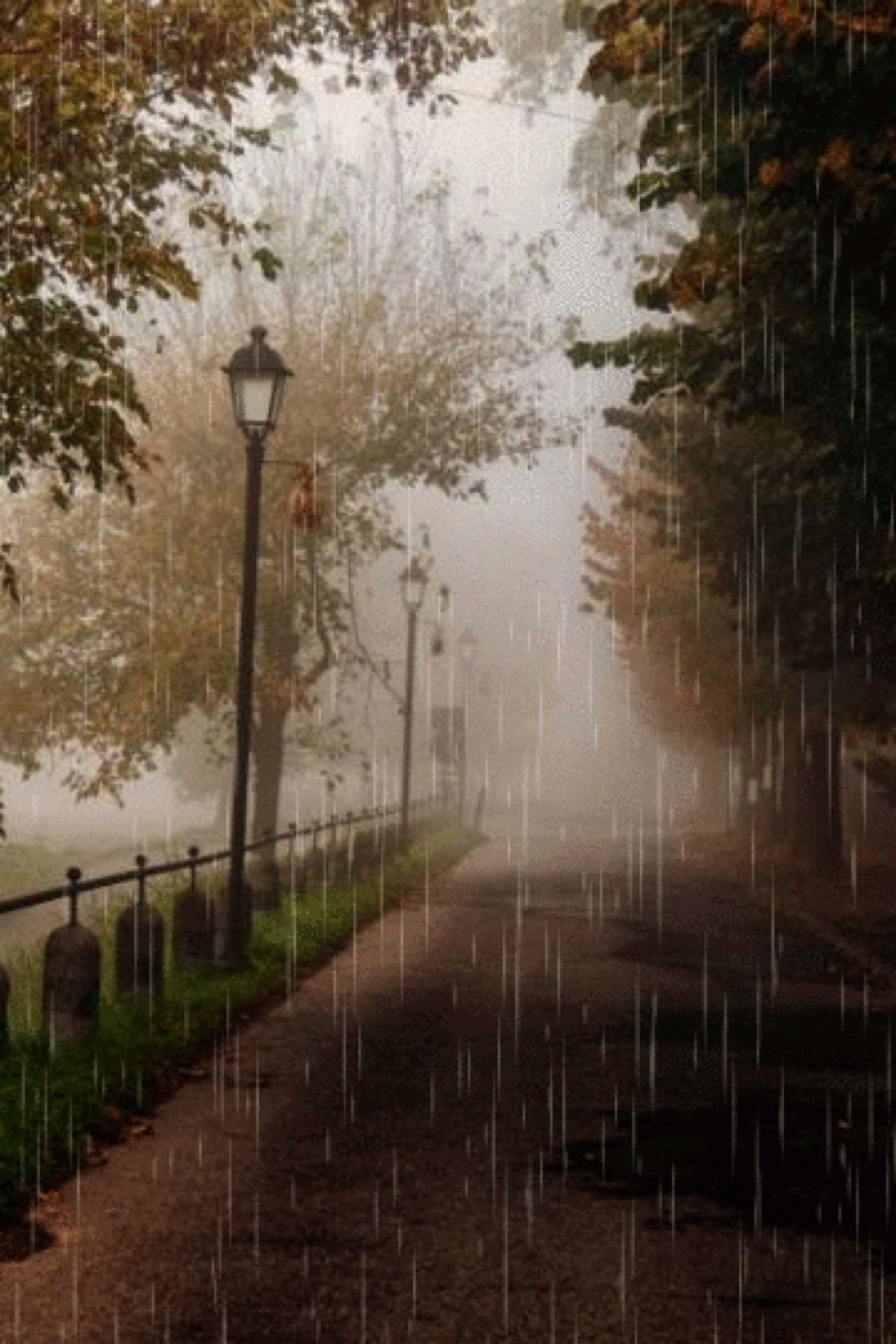 🔥 [30+] Raining Wallpapers | WallpaperSafari