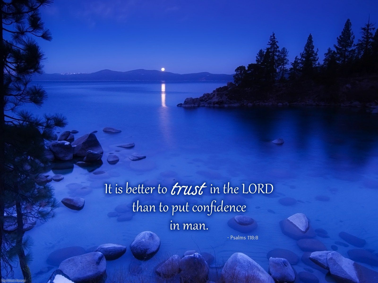 Free Download Psalm 118 8 Httpwallpaper4godcomenbackground Psalms 1188 Free Download Psalm 118 8 Httpwallpaper4godcomenbackground Psalms 1188