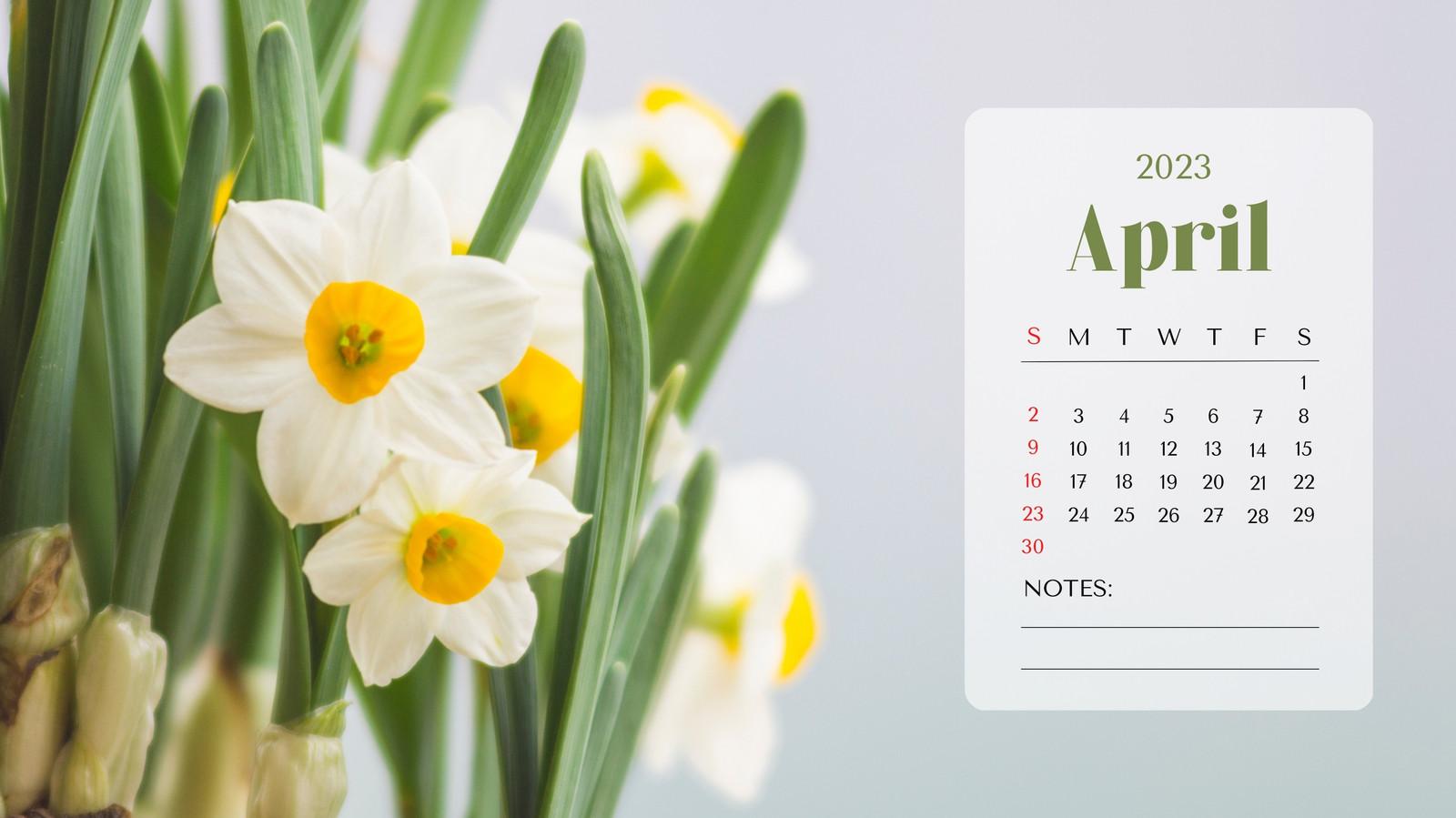 🔥 [70+] Spring 2023 Wallpapers | WallpaperSafari