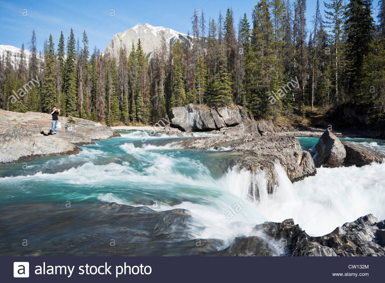 🔥 [31+] Rapids Background | WallpaperSafari