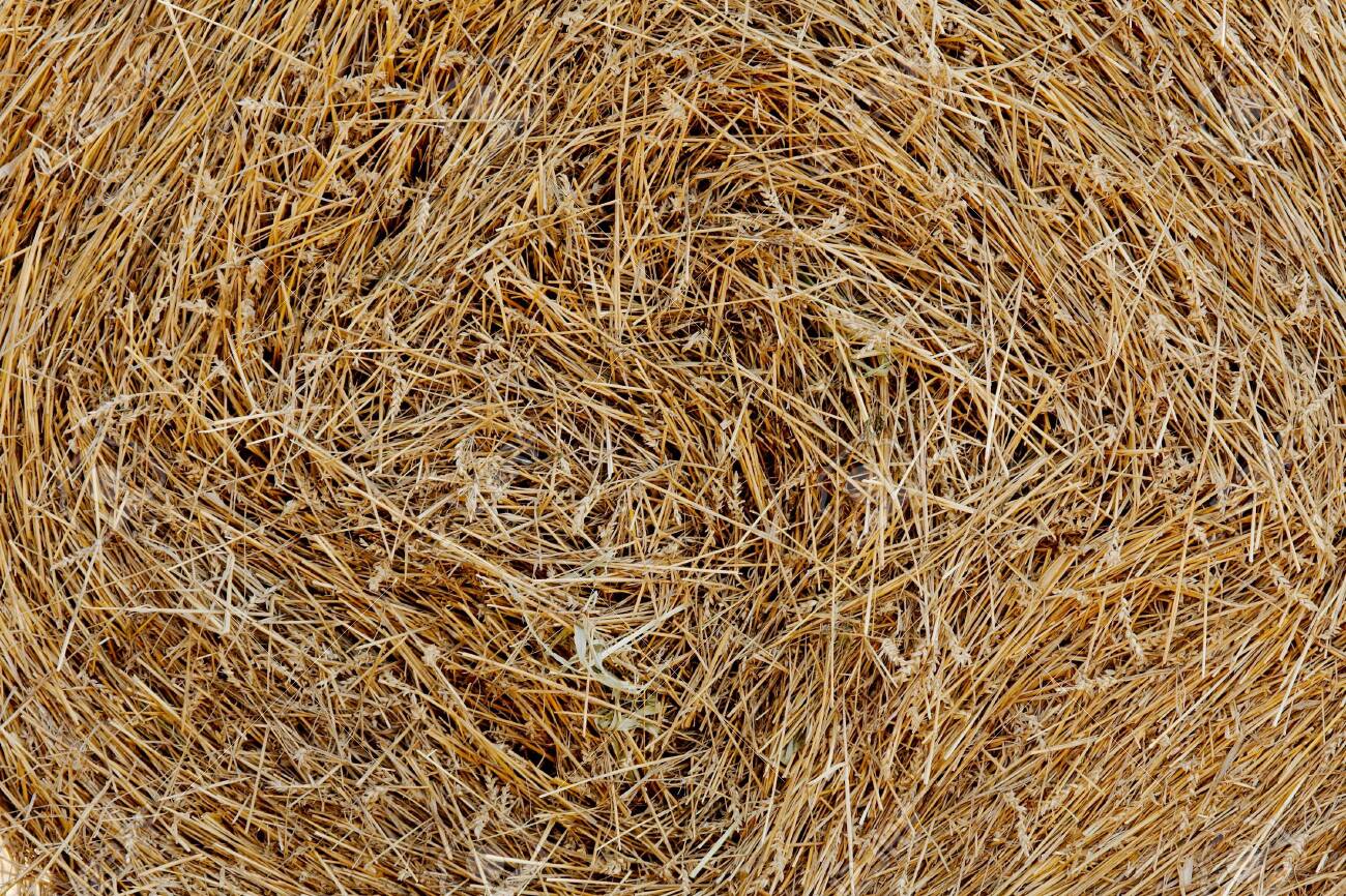 [35+] Haystack Background | WallpaperSafari.com
