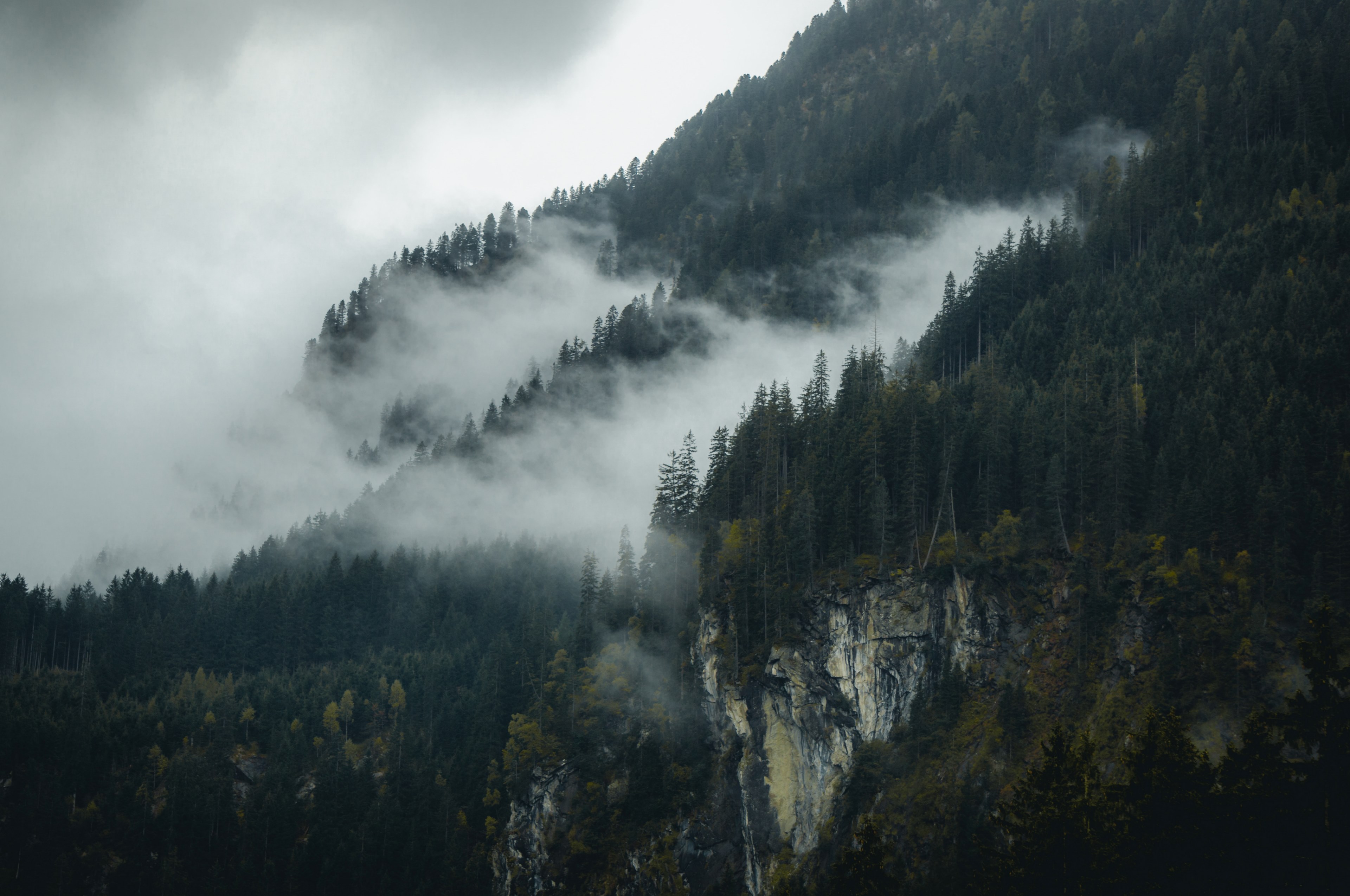 🔥 Free Download Fog Rolling Down The Wooded Slope Of A Mountain In Alps ...