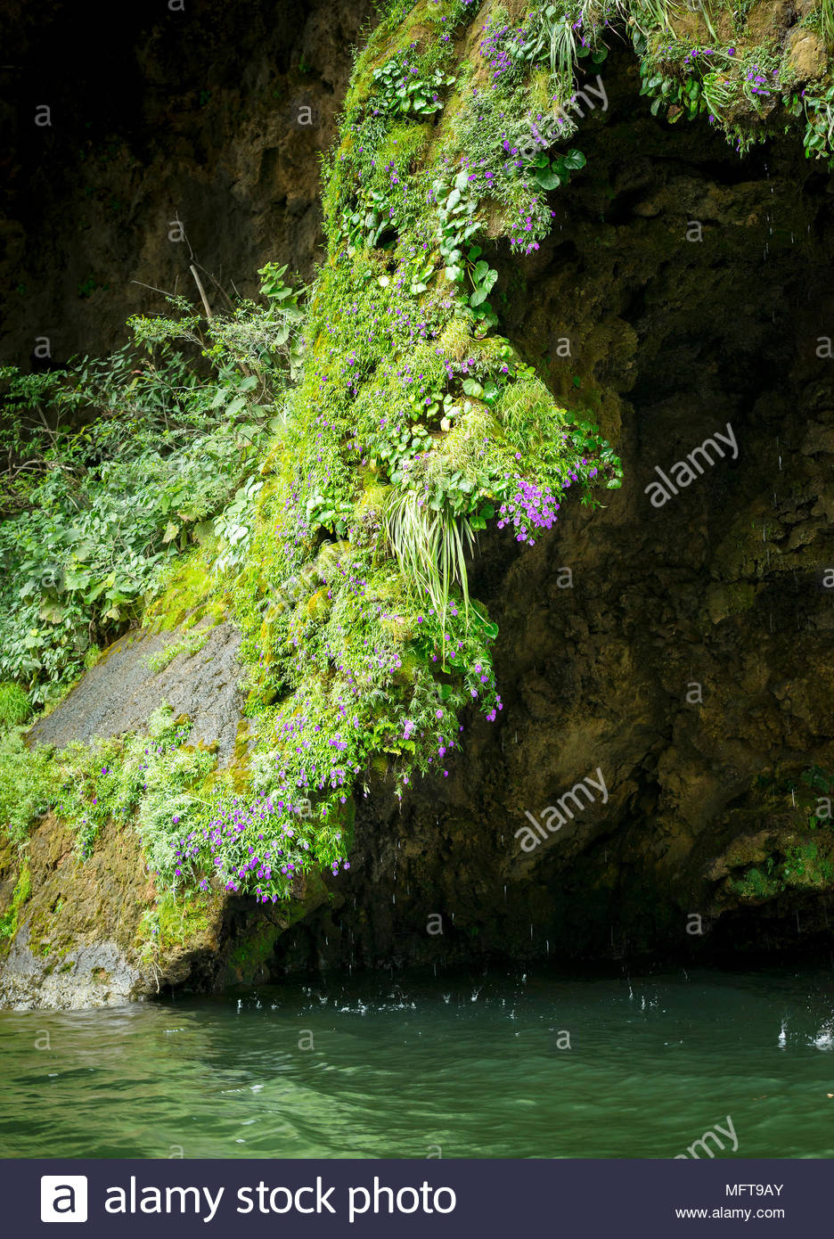 [39+] Chiapas Background | WallpaperSafari