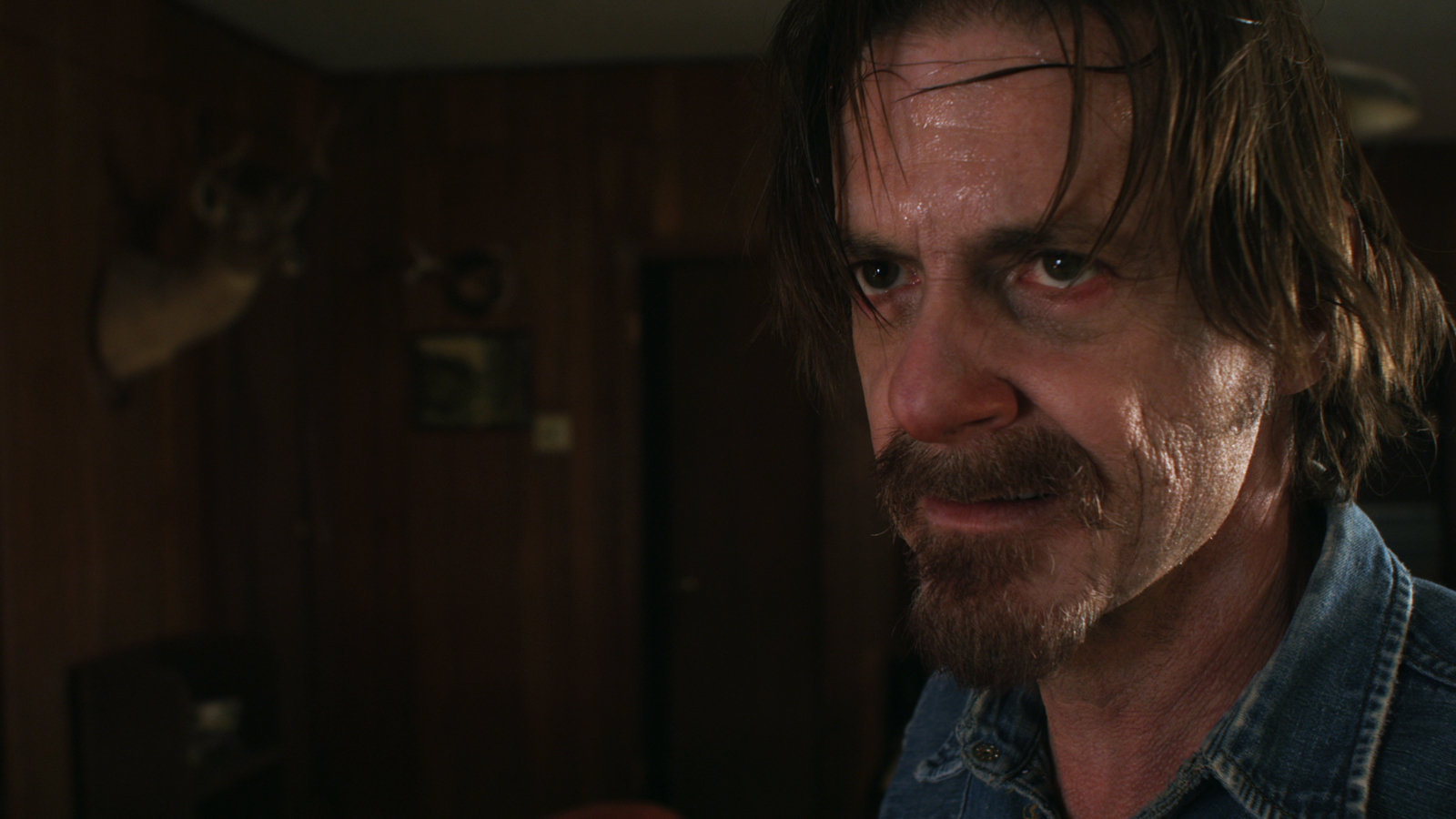 🔥 Free Download Buck Wild by @austins85 | WallpaperSafari