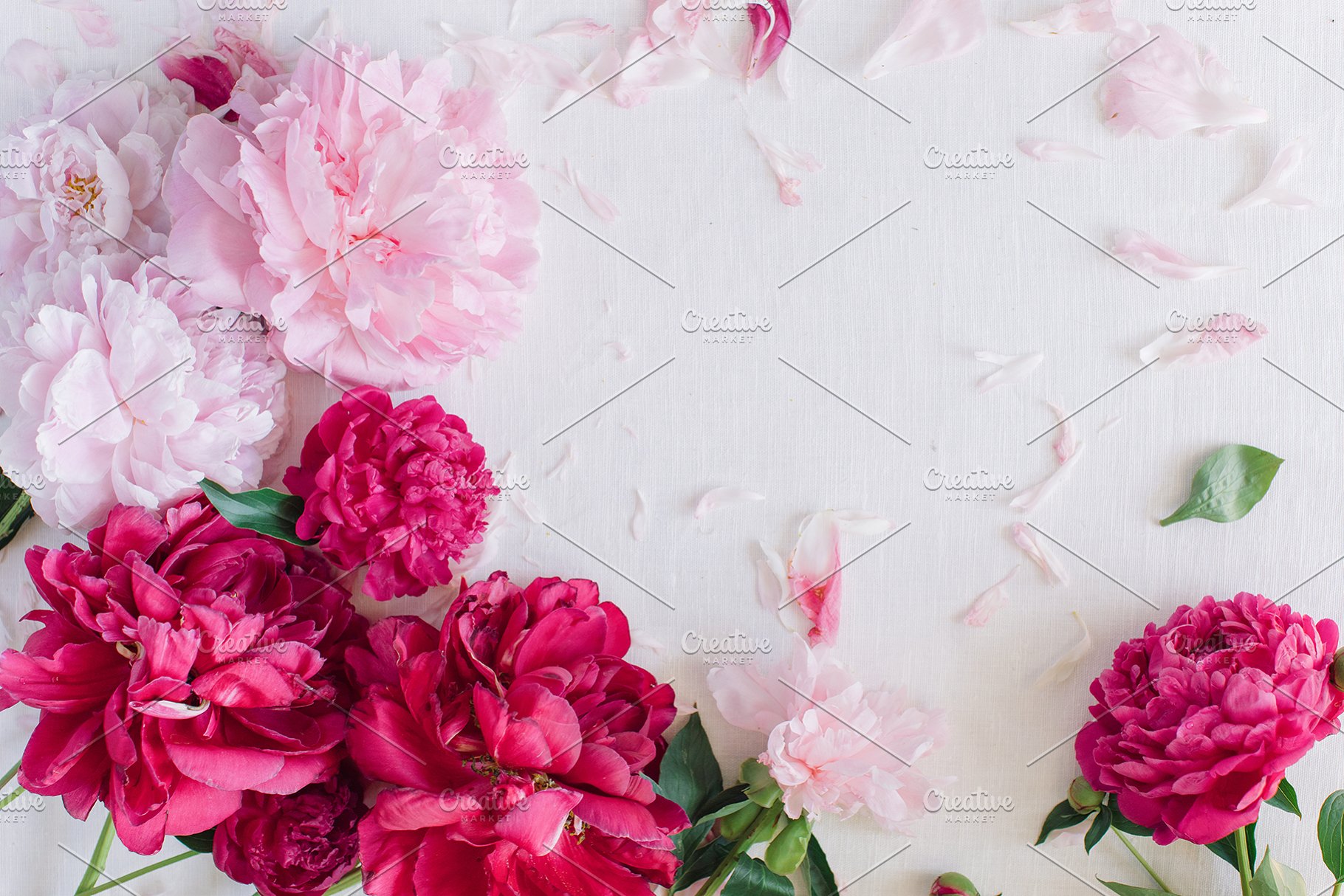 🔥 [10+] Florist Backgrounds | WallpaperSafari