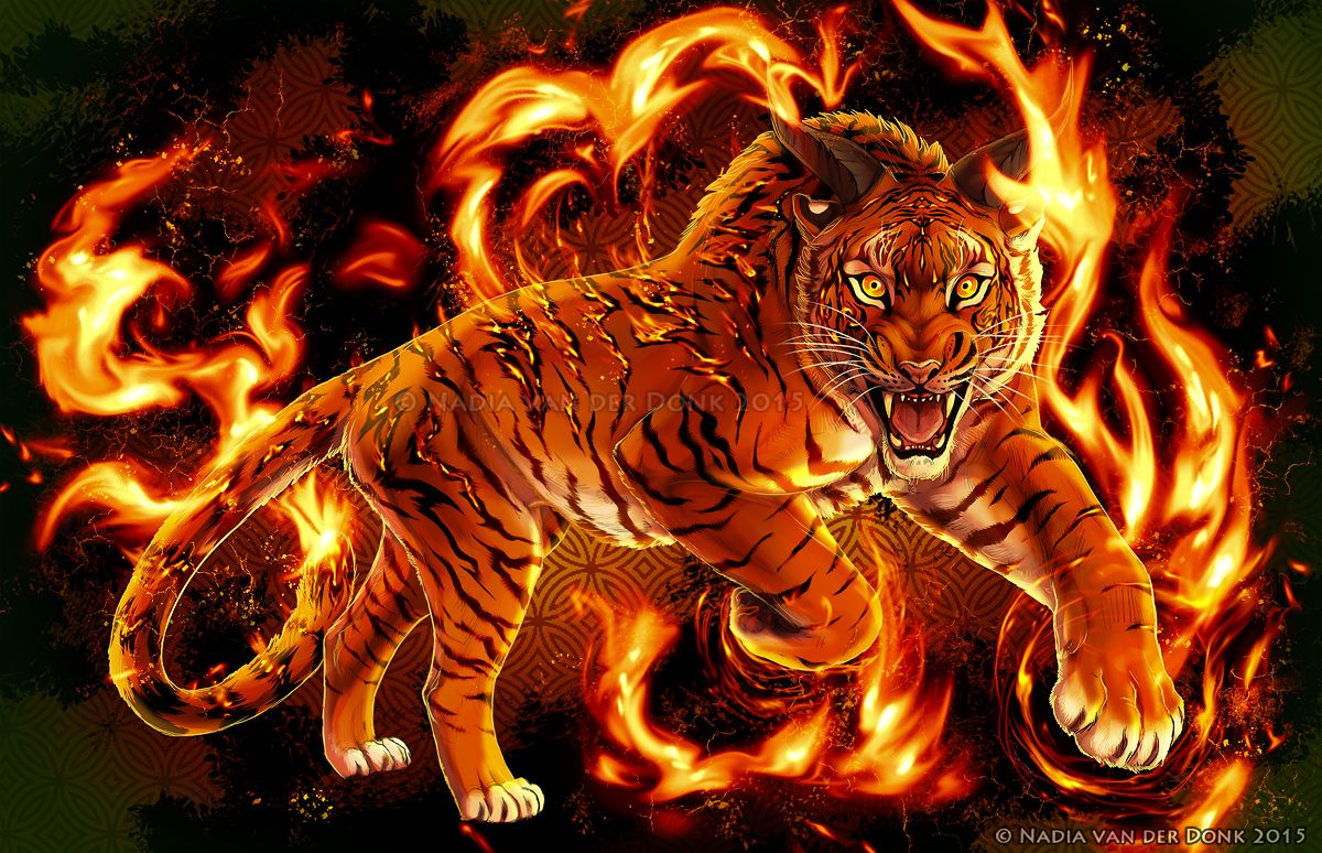 🔥 [40+] Cool Tiger Wallpapers | WallpaperSafari