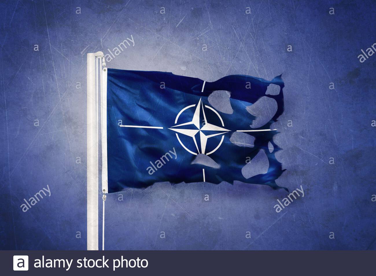 North Atlantic Treaty Organization Logo