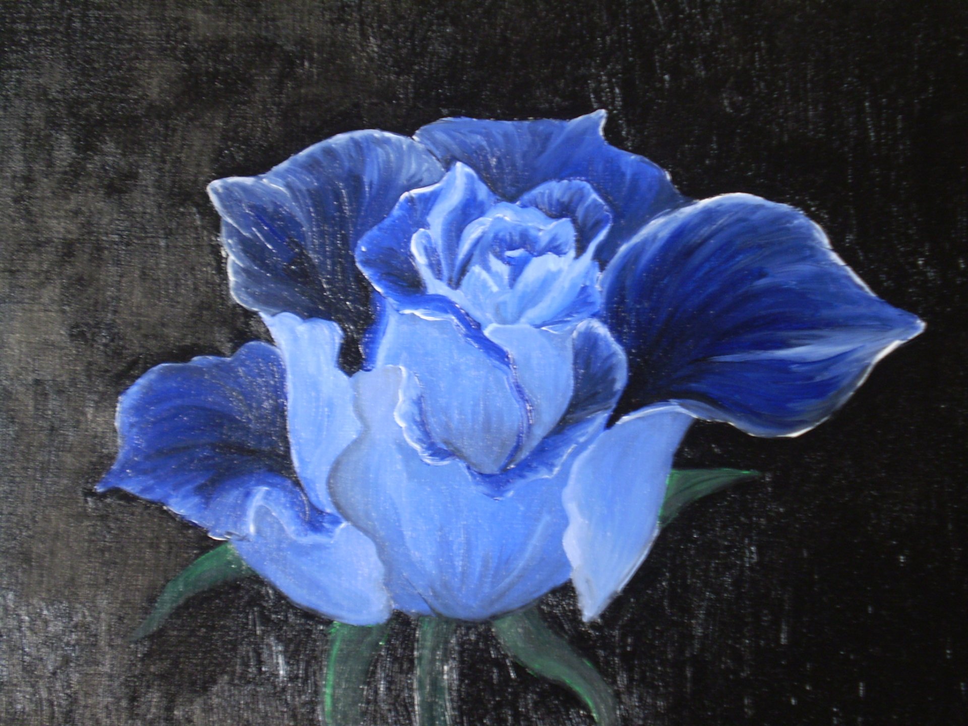 🔥 Free Download An Abstract Painting Of A Blue Rose Image Wallpaper by ...
