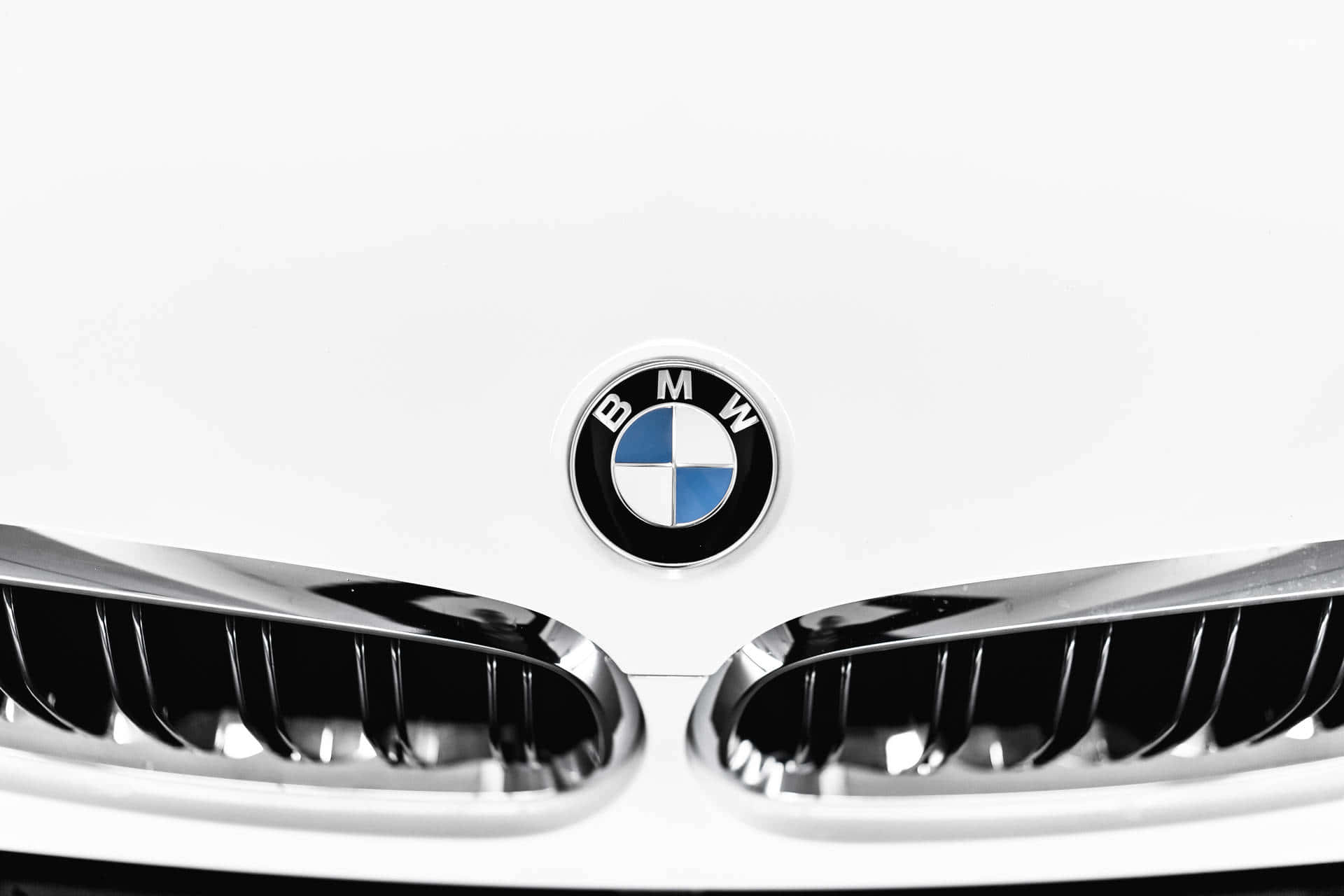 🔥 [40+] BMW Logo Wallpapers | WallpaperSafari