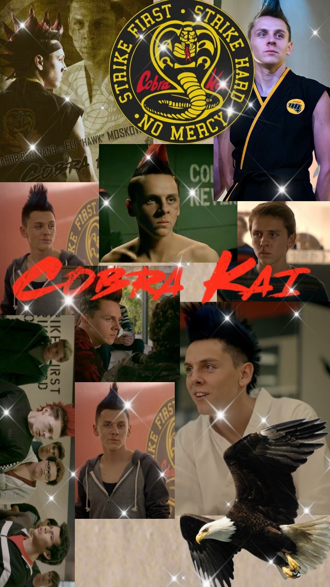 21 Hawk Cobra Kai Wallpapers WallpaperSafari 21 Hawk Cobra Kai Wallpapers WallpaperSafari