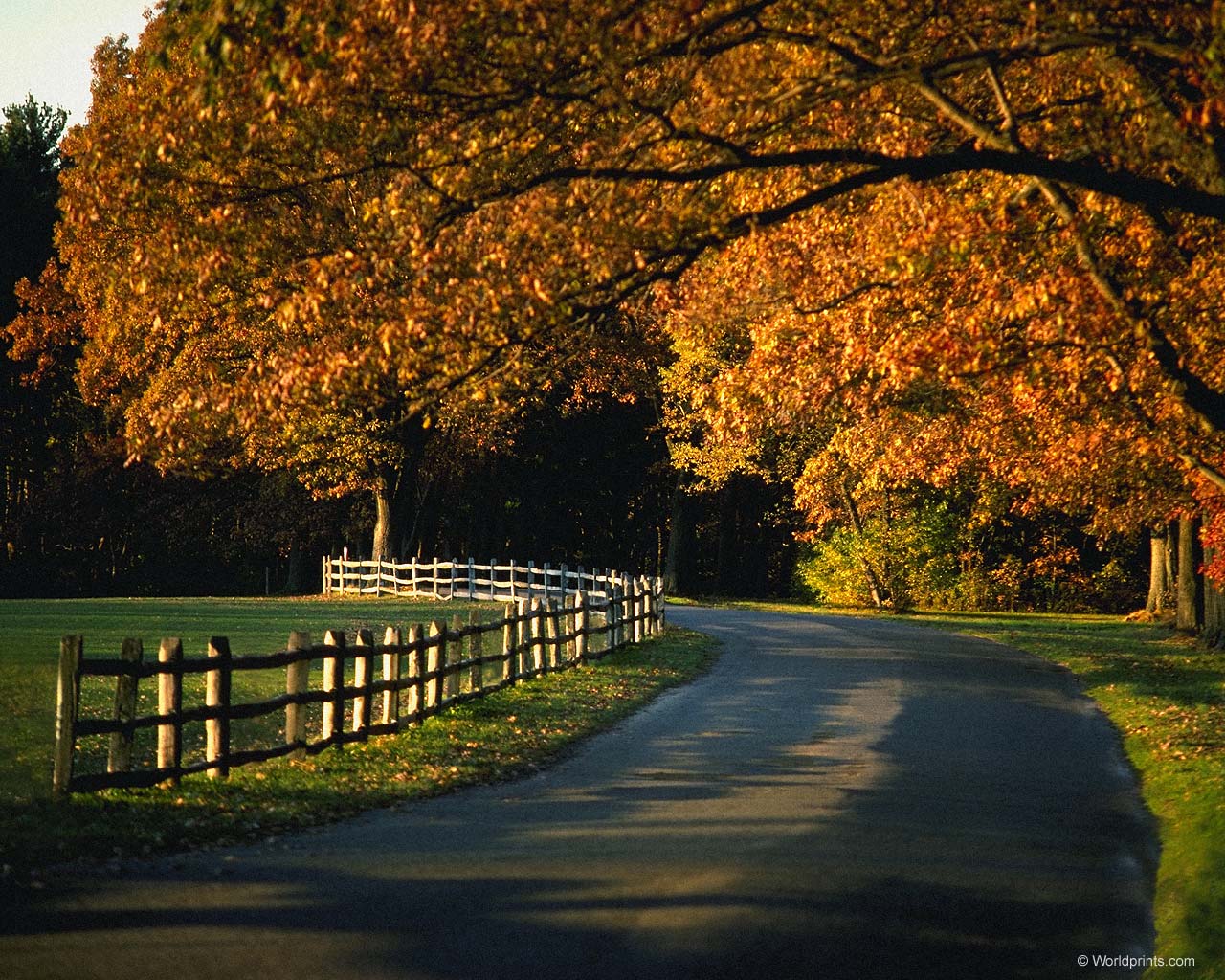 🔥 Download Autumn Wallpaper by @fwiggins | Autumn Pics Wallpapers ...