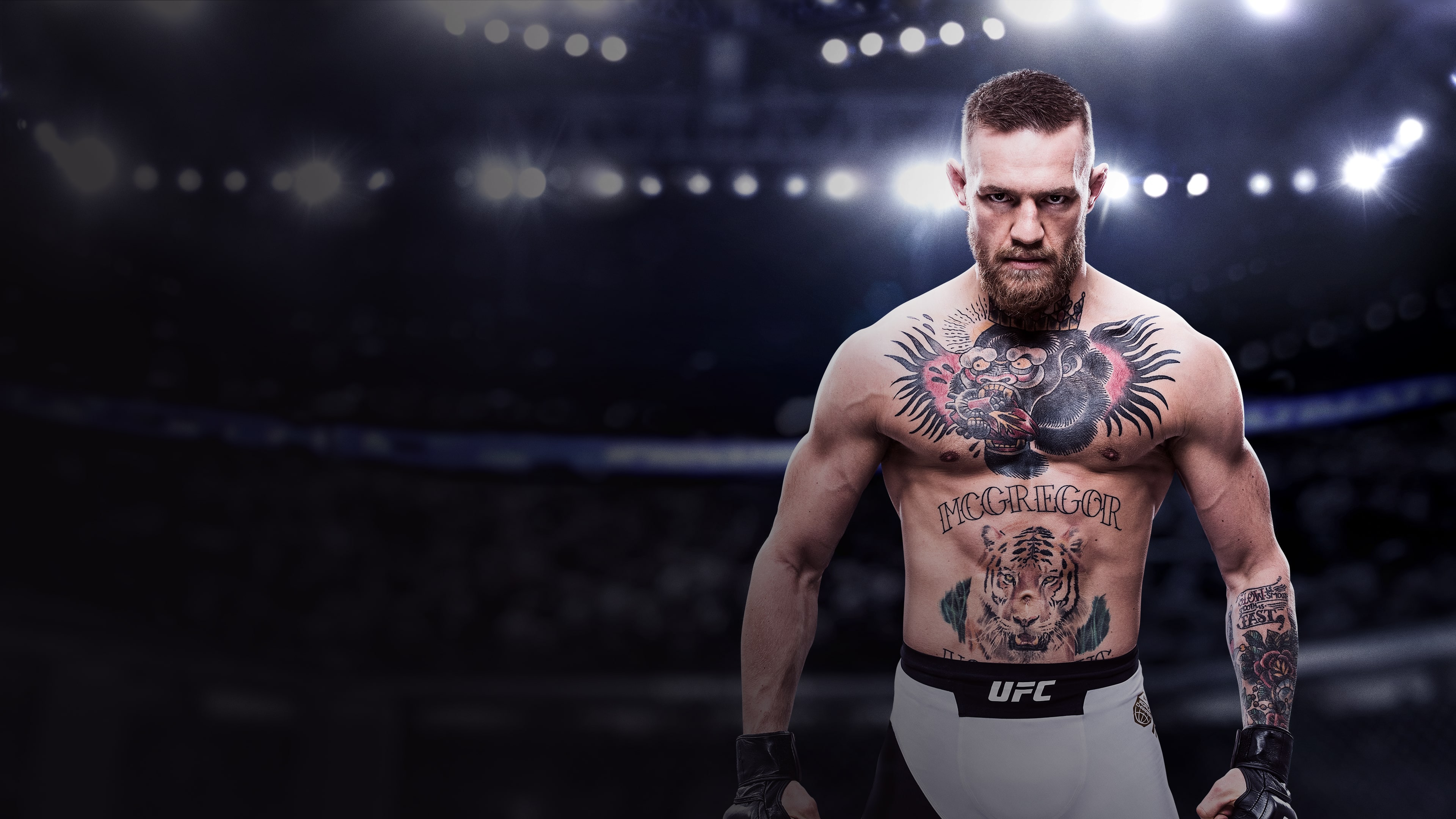 🔥 [60+] UFC 4k Wallpapers | WallpaperSafari