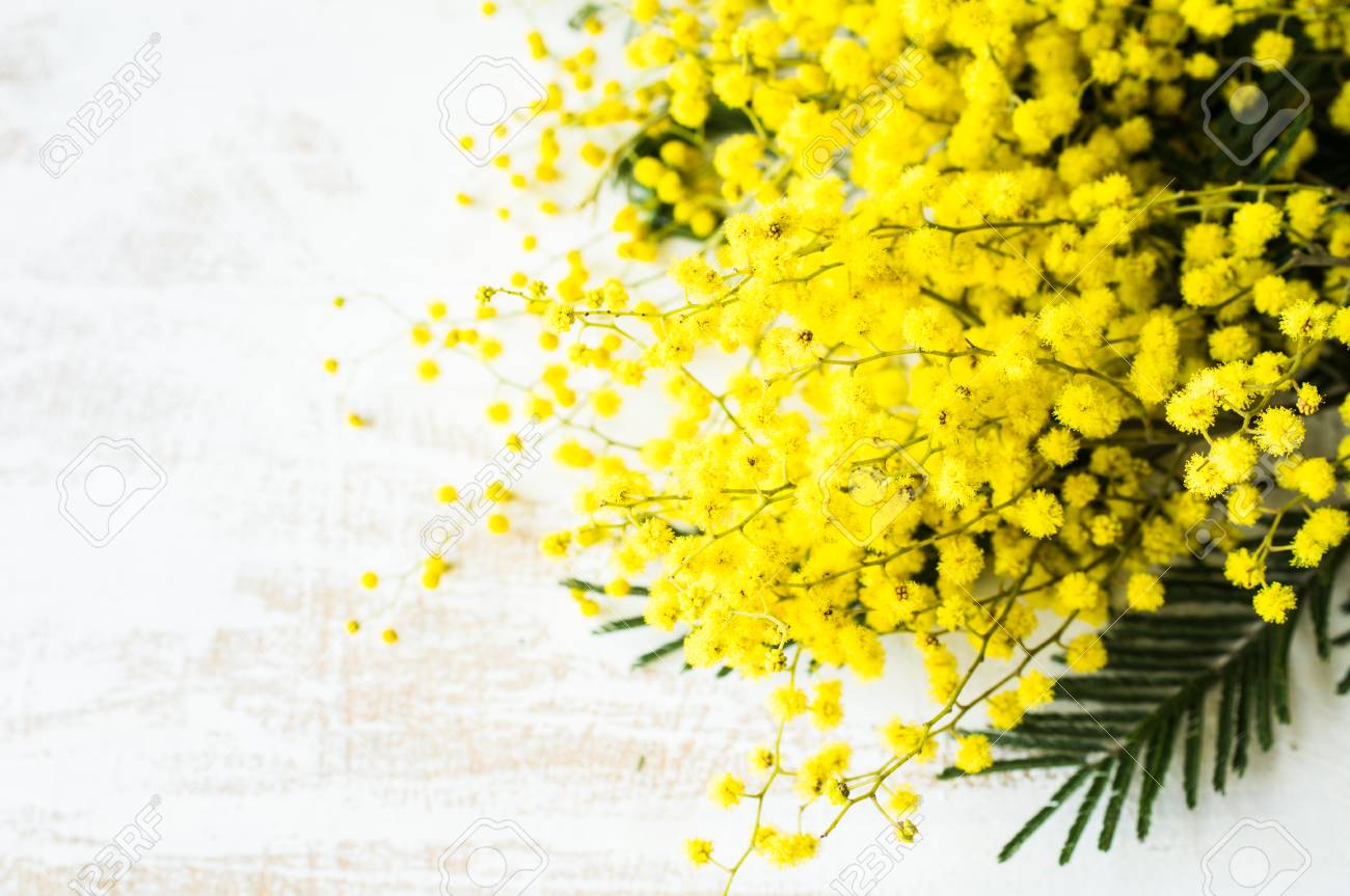 Joseph Chan Wallpaper Collection on WallpaperSafari