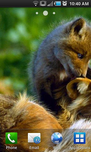 [50+] Bing Live Wallpapers on WallpaperSafari