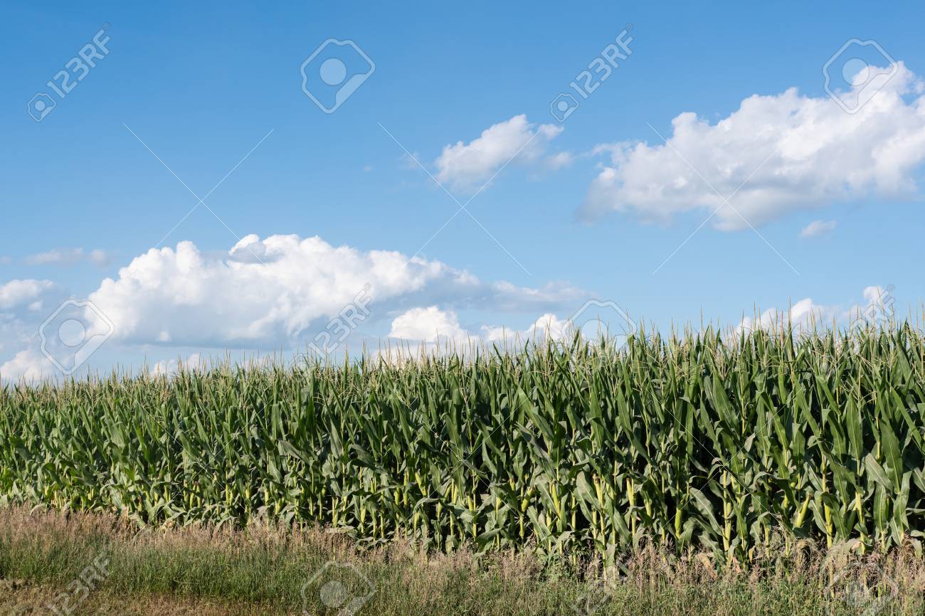 [19+] Midwestern Backgrounds on WallpaperSafari