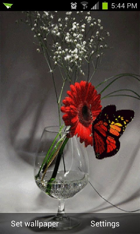🔥 [150+] Free Live Butterfly Wallpapers | WallpaperSafari
