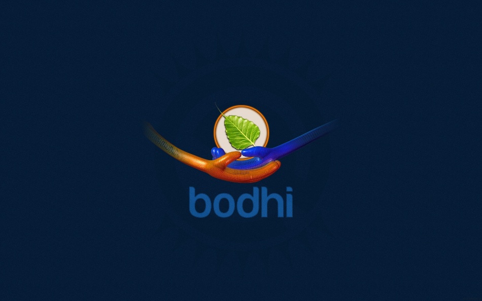 🔥 Free Download Wallpaper Bodhi Linux Blue by @dcurry | WallpaperSafari