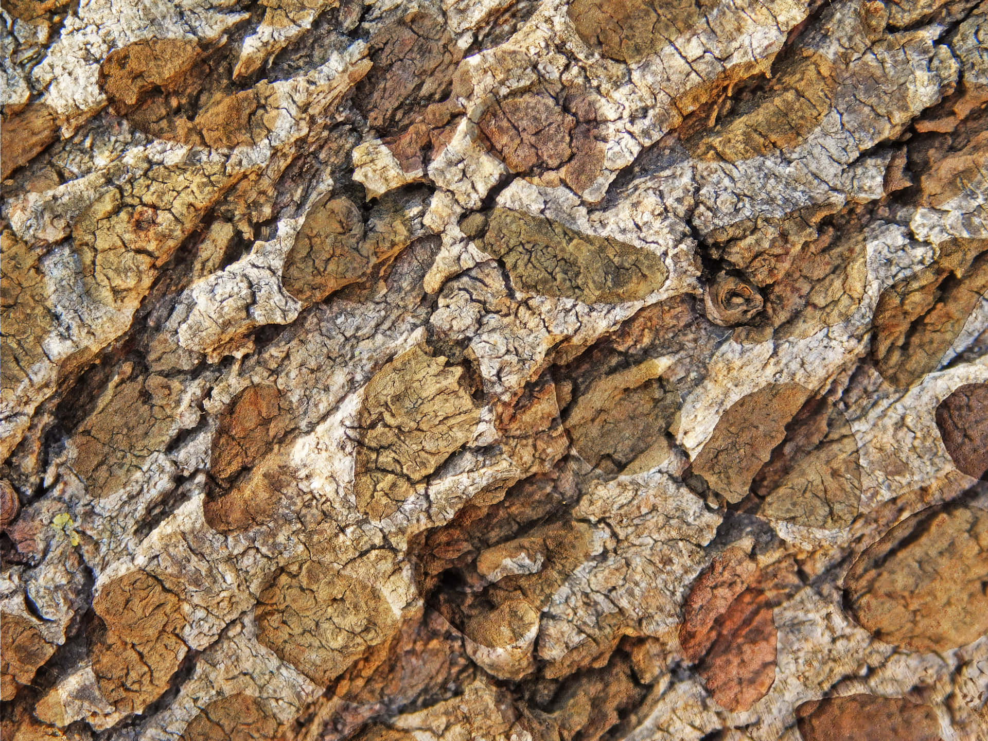 🔥 Free Download Stone Texture Wallpaper by @tlittle19 | WallpaperSafari