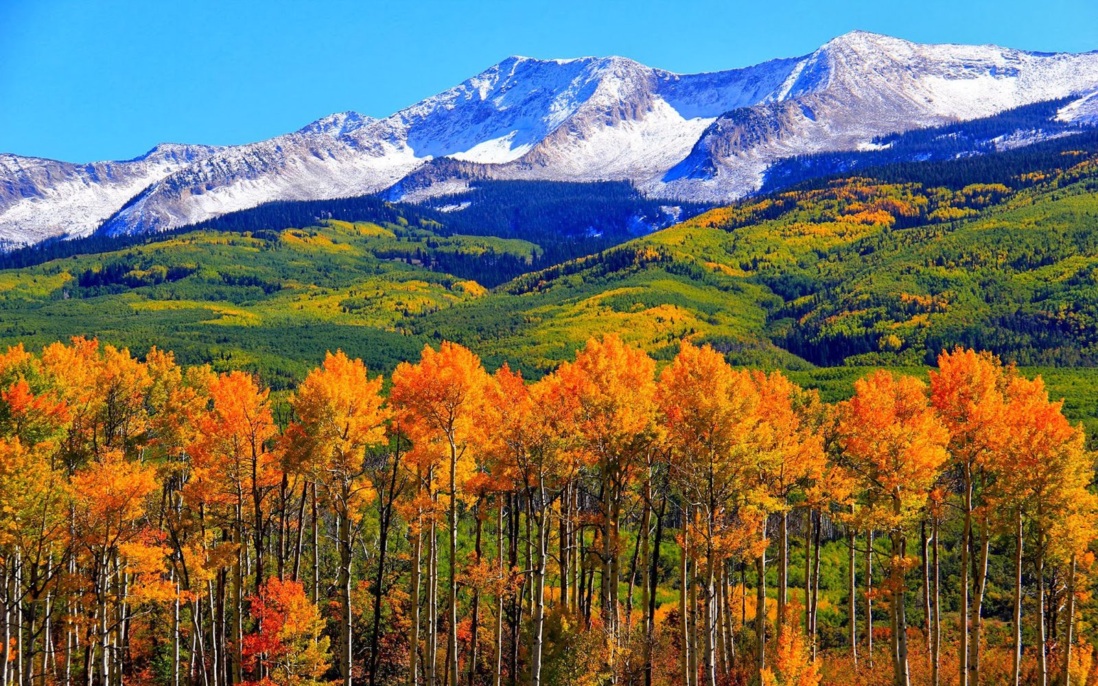 🔥 Free Download Autumn Colorado Fall Snowy Mountains Nature Landscape ...