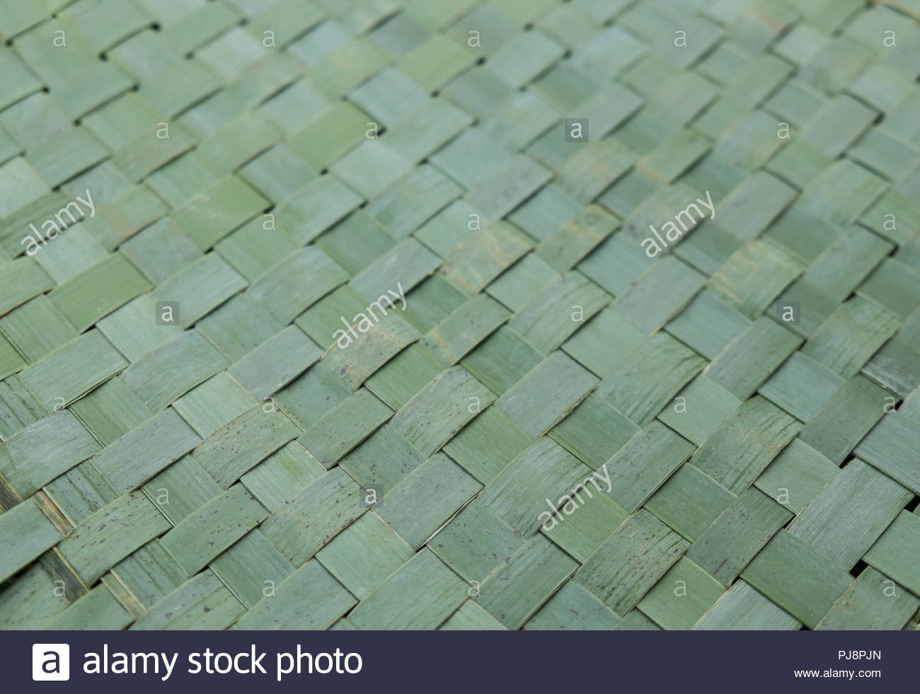 🔥 [46+] Flax Background | WallpaperSafari