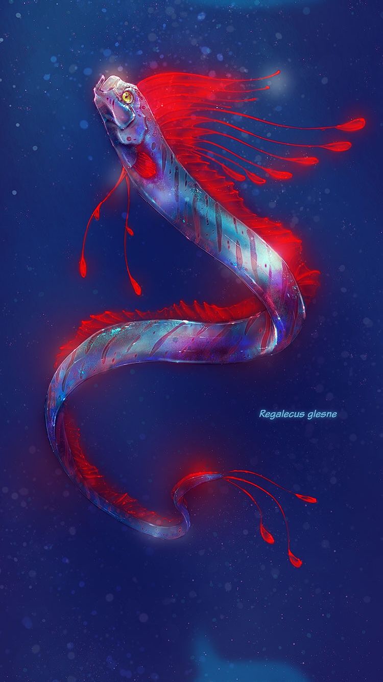 🔥 Free Download Oarfish By fany001 Mediums Of Art Drawings by ...