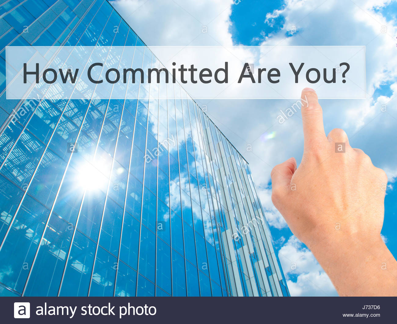 🔥 [48+] Committed Background | WallpaperSafari