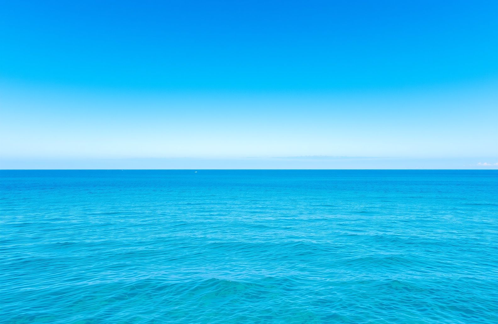 🔥 Free Download Hd Solid Color Wallpaper by @rebeccah60 | WallpaperSafari