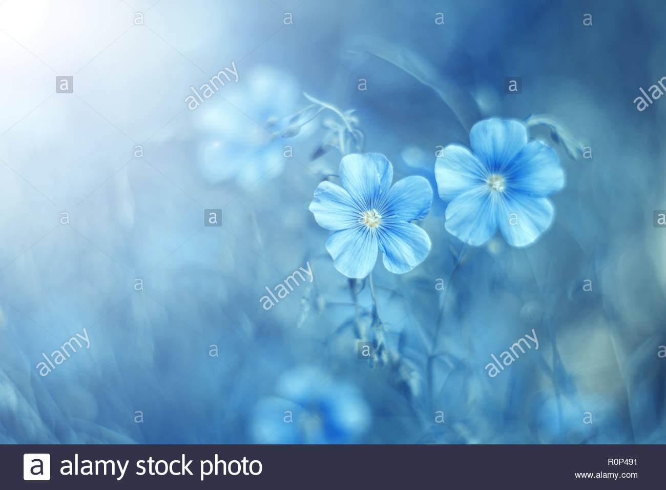 [40+] Gentle Backgrounds on WallpaperSafari