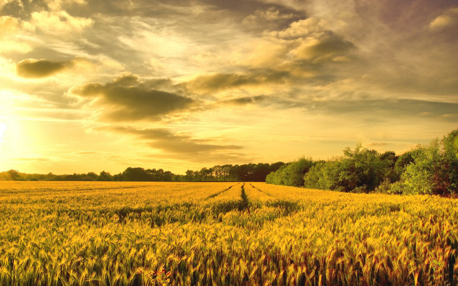 Free Download Free Download Late Summer 1920 X 1200 Nature Photography