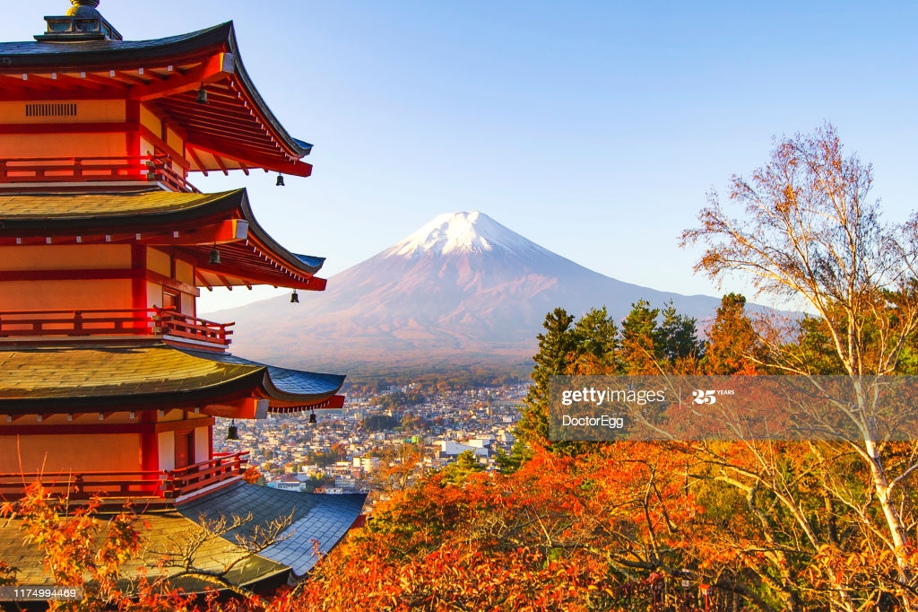 🔥 Free Download Chureito Pagoda And Red Maple Trees With Fuji Mountain ...