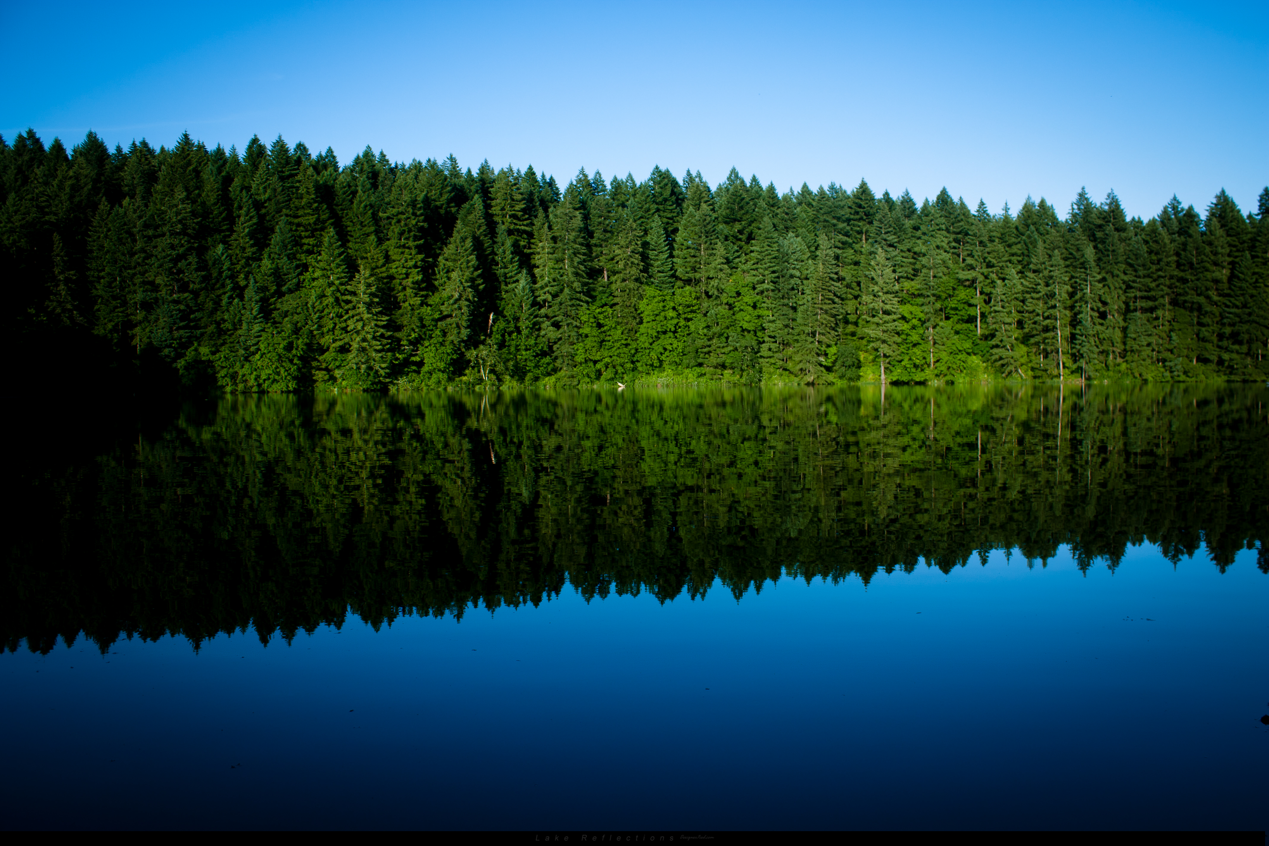 Super High Resolution Nature Wallpaper WallpaperSafari Super High Resolution Nature Wallpaper WallpaperSafari