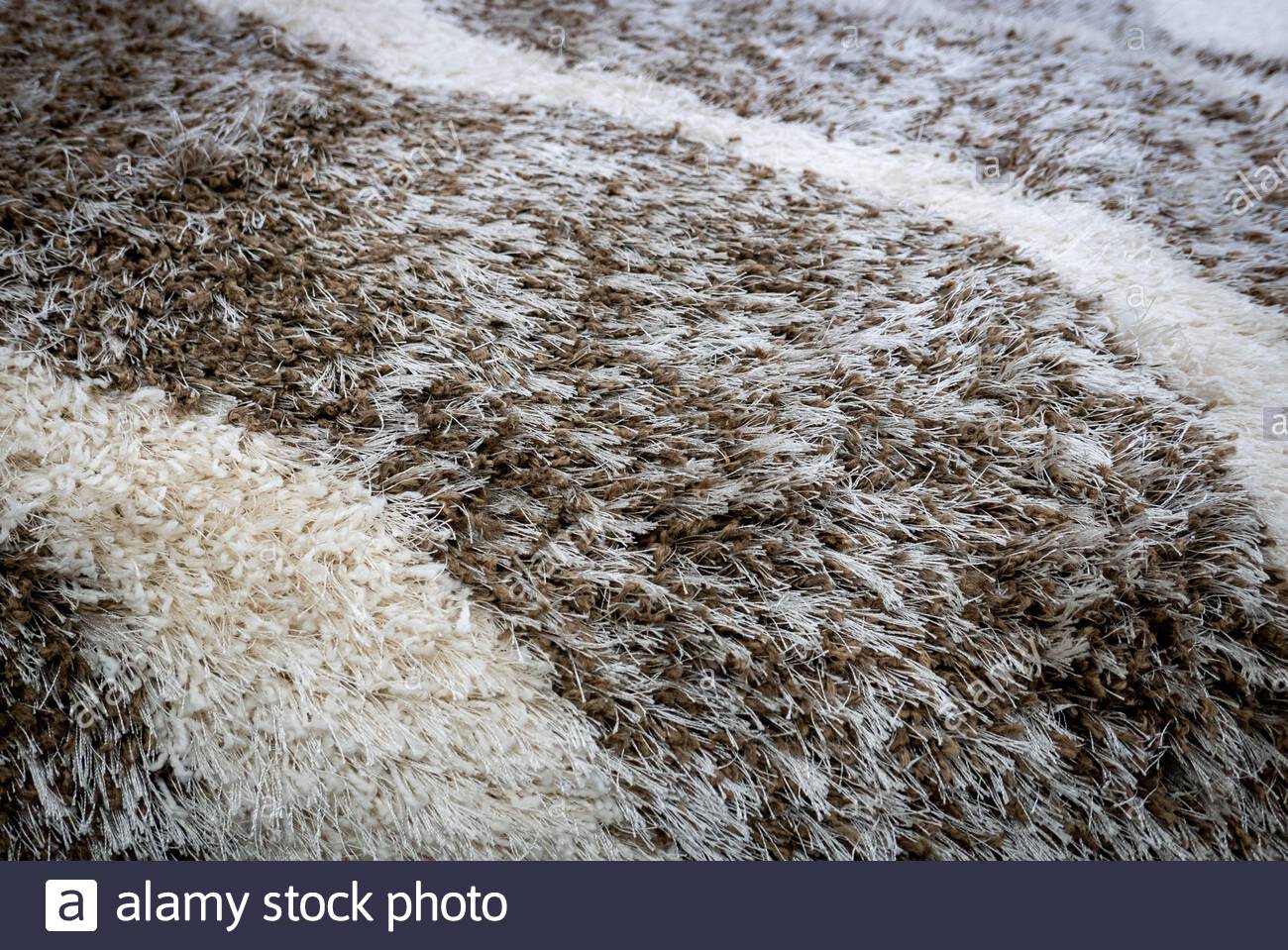 Free download Close up view of carpet Wall to wall carpeting background ...