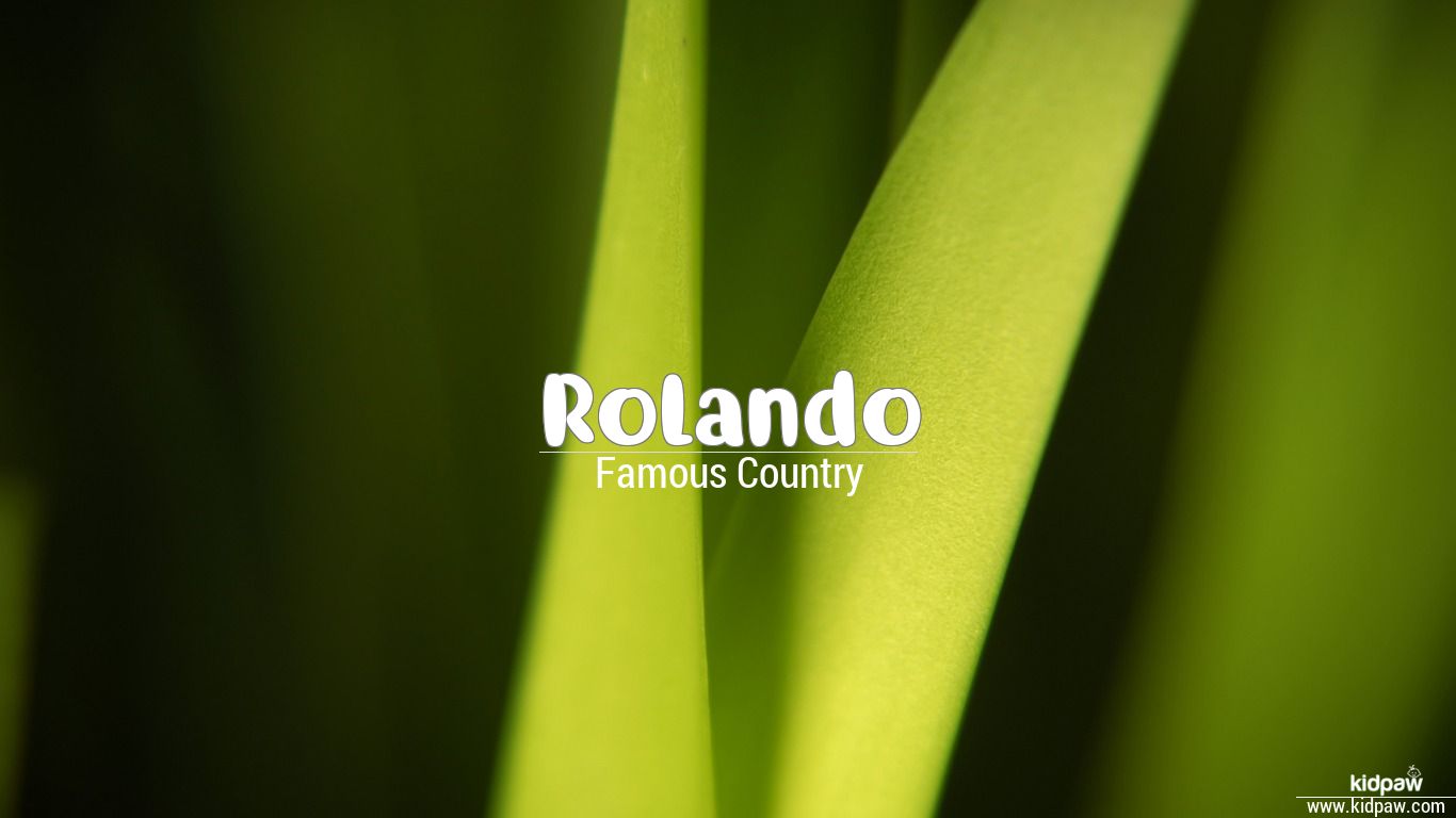 🔥 [20+] Rolando Wallpapers | WallpaperSafari